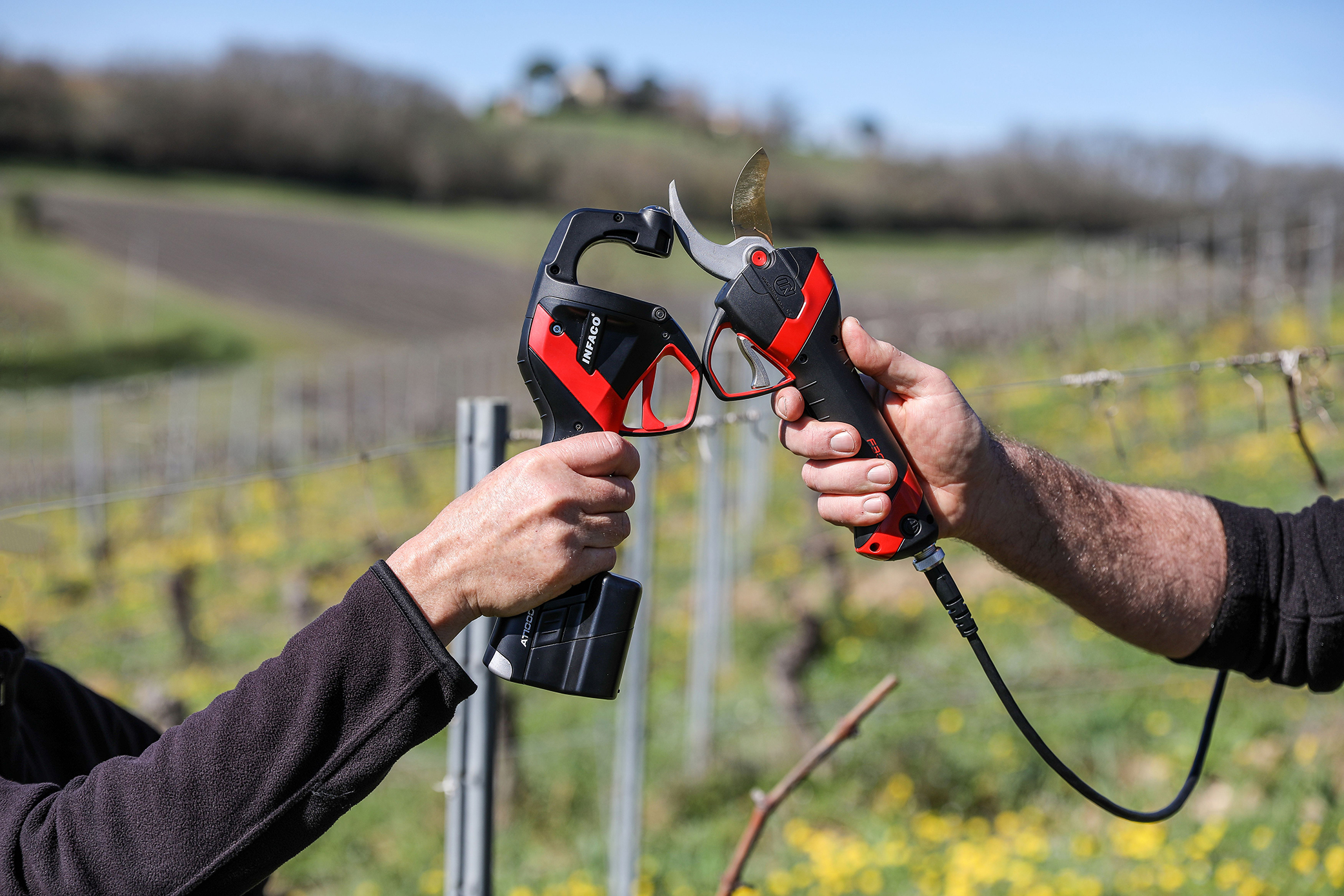 Home [my.infaco.com]